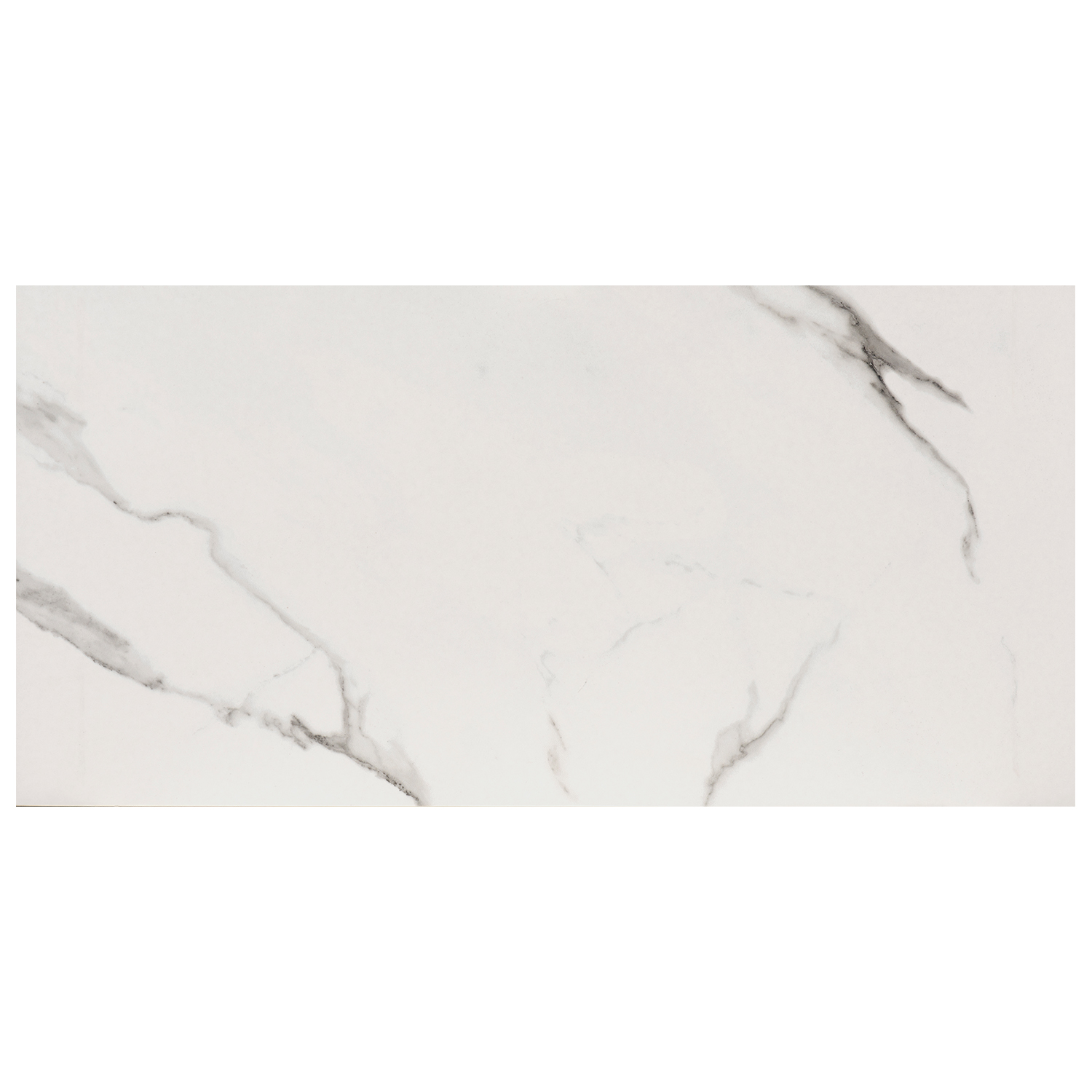 CAVA BIANCO STATUARIO 12X24 BRUSHED - Walker Zanger