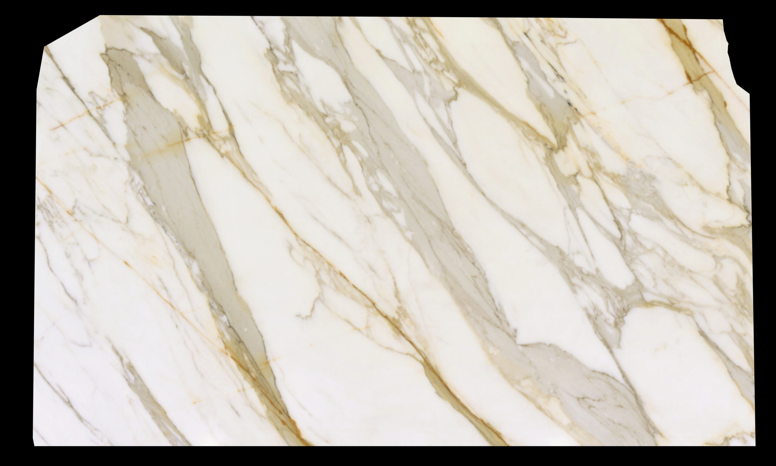 3/4 Slab Calacatta Gold Borghini Paonazzo Polished - Walker Zanger